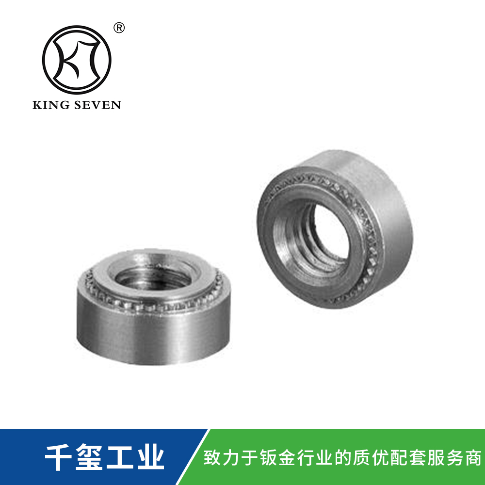 Multifunctional thin plate self-clinching screws: innovative solutions ...