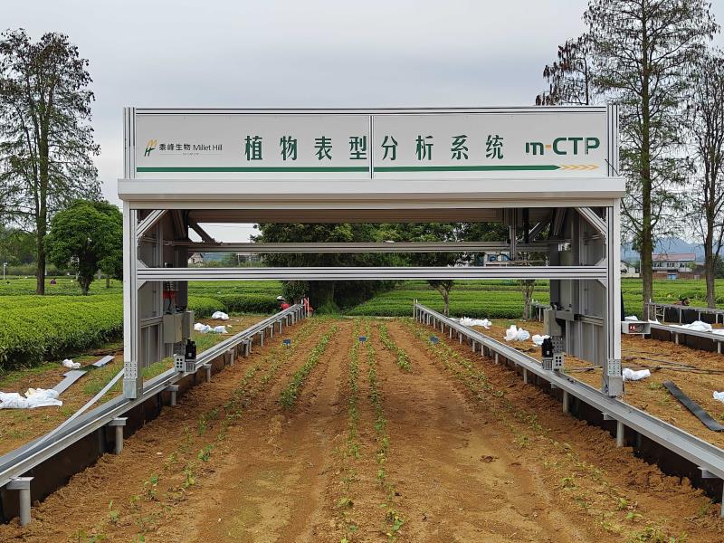 Mobile Plant Photosynthetic Phenotyping Platform mCTP_Shanghai Millet ...