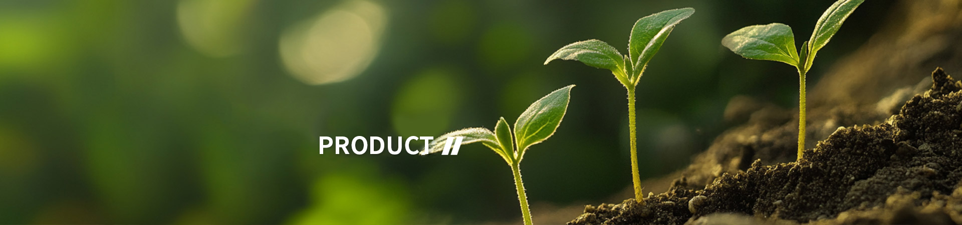 Canopy Photosynthesis - Non-Leaf Photosynthesis-Shanghai Millet Hill ...