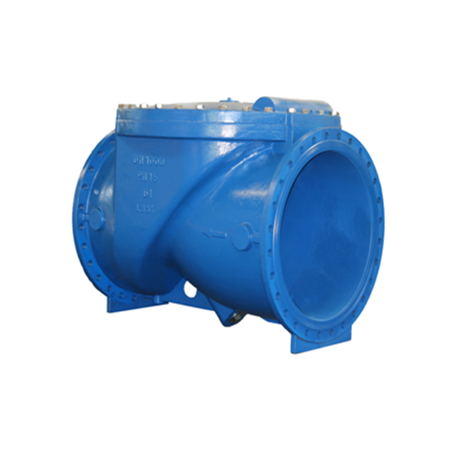 Iron body rubber flapper check valve