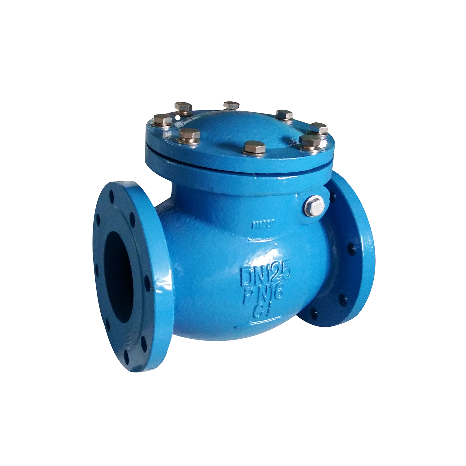 Iron body swing check valve