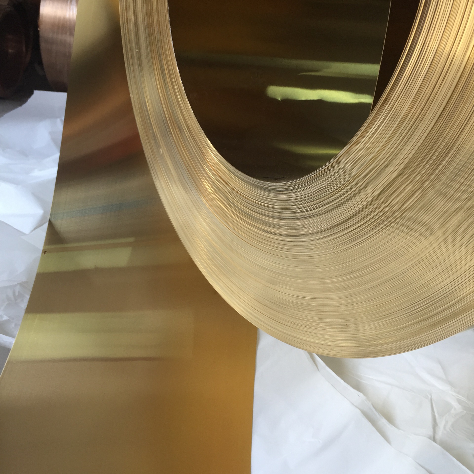 C51900 Phosphor Bronze Coil