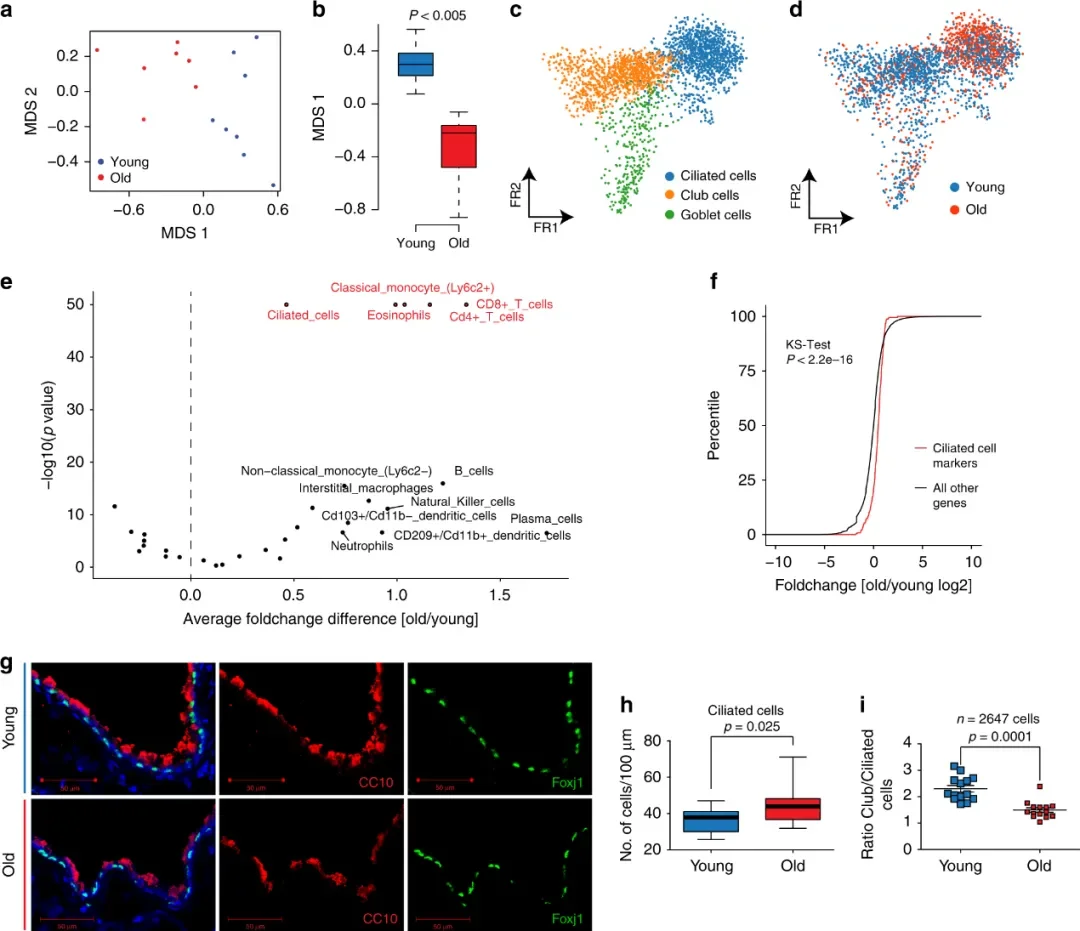 文献分享|Nature Communications:单细胞转录组联合蛋白组学技术揭示小鼠肺的衰老机制_上海慕柏生物医学科技有限公司