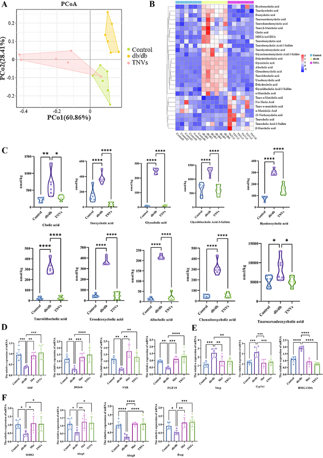 植物外泌体-外泌体提取-外泌体鉴定-研载生物科技(上海)有限公司