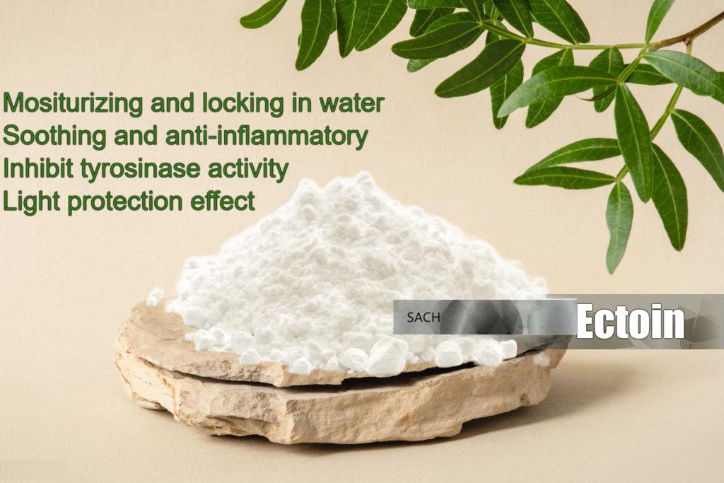 Cas No.: 868156-46-1 Ectoin Powder Provider-Supplier-Sach