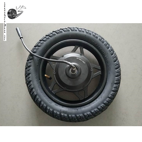 12Inch Brushless DC Wheel Hub Manufacturer & Supplier | Speedup Motor