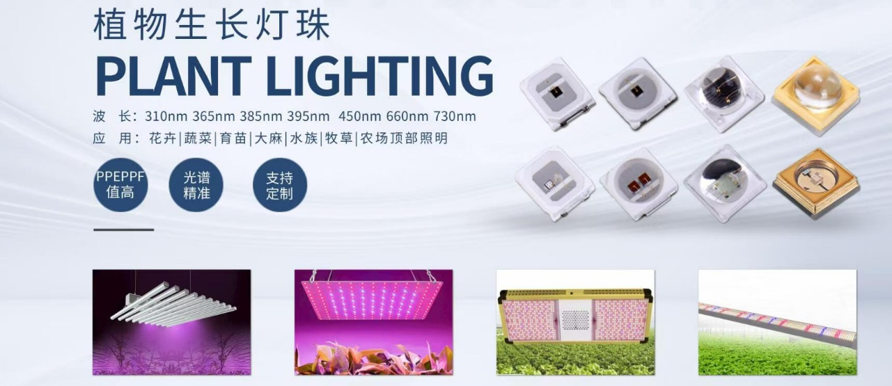 Research report on the role of different red light bands in plant growth