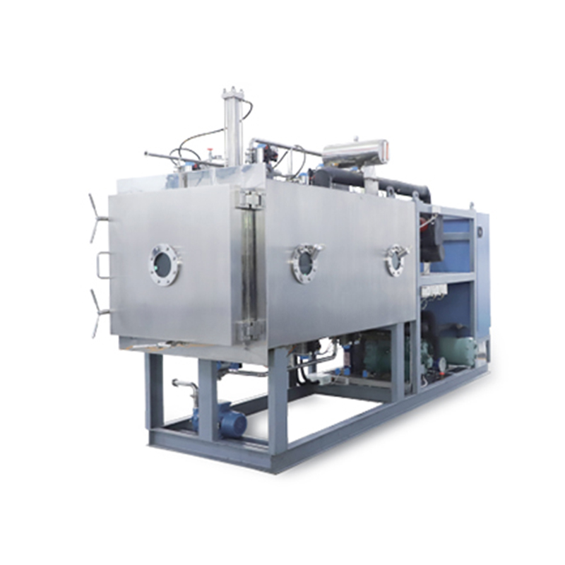 ZN-LYO Series Silicone Oil In-Situ Production Freeze Dryer | Shanghai ...