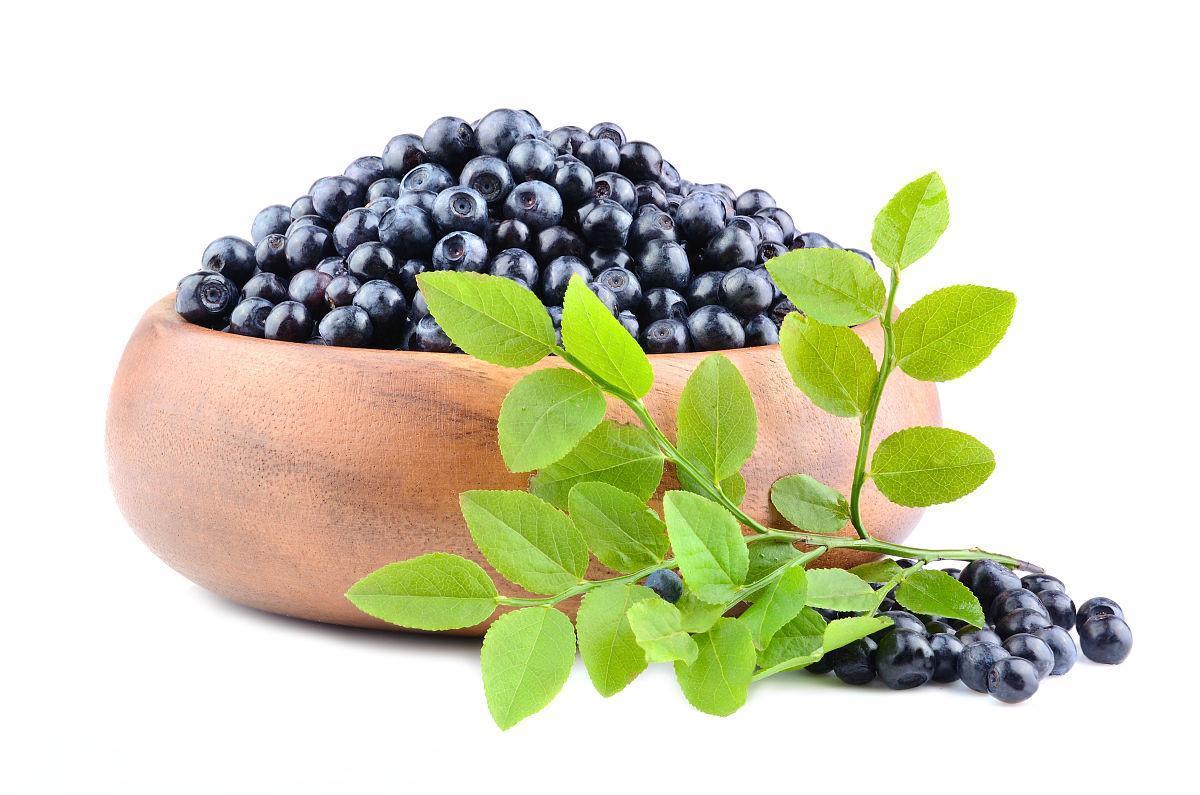 Professional Supplier of Bilberry Juice Powder-Nutra Green