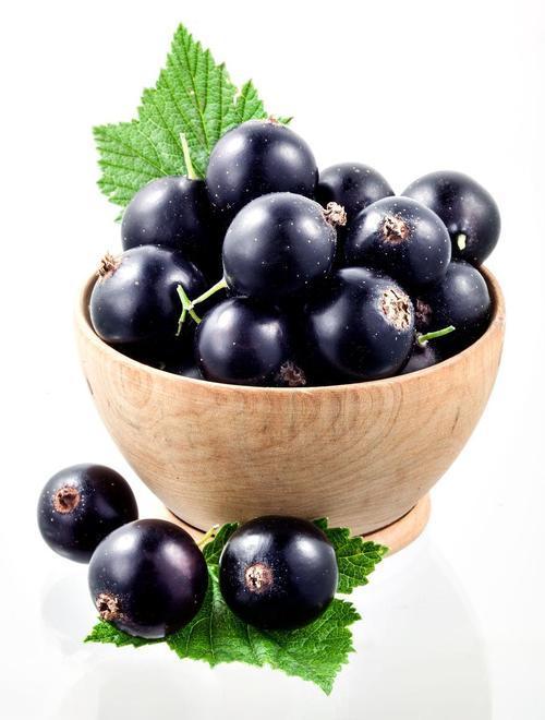 Black Currant Powder | Ribes nigrum | Freeze-Dried Black Currant Juice ...