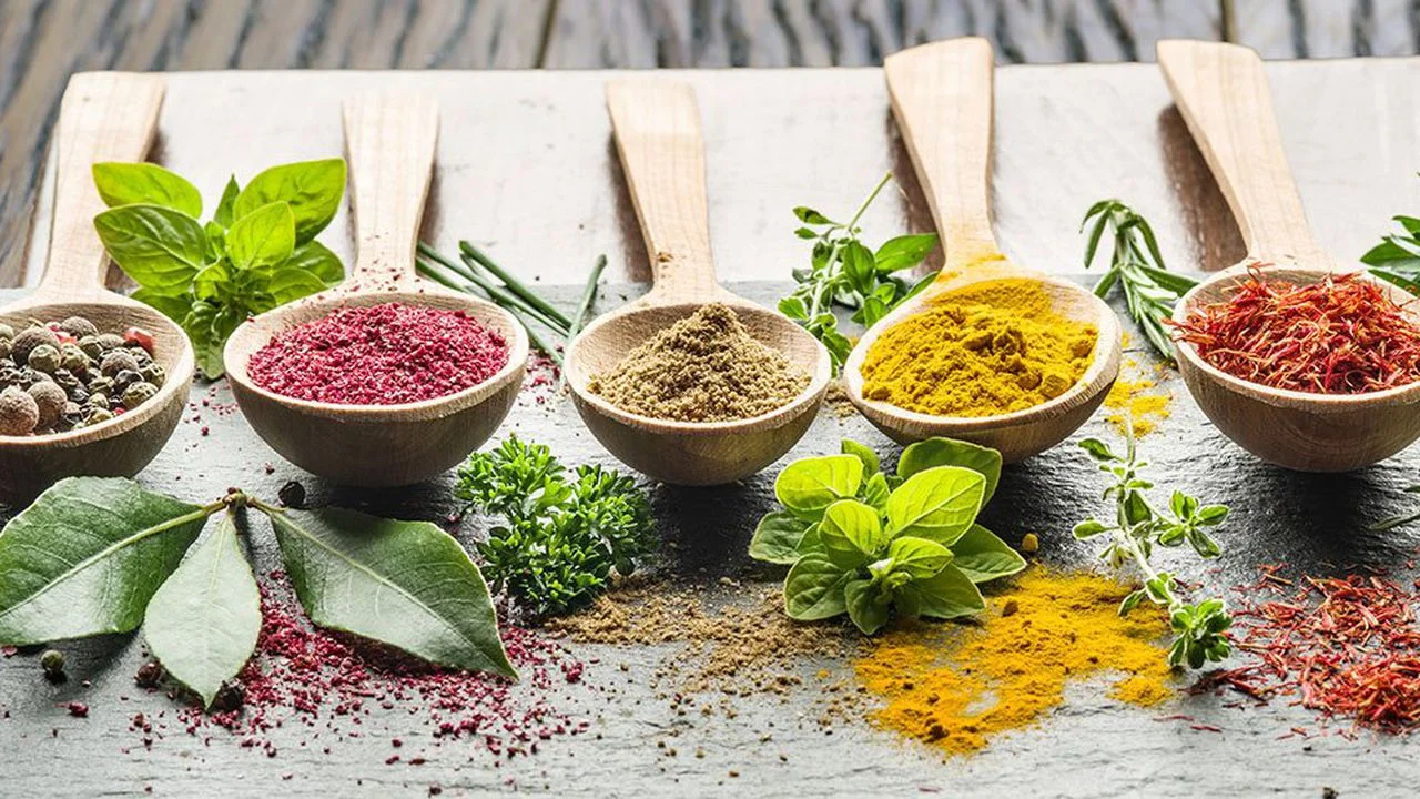 High-Quality Evodia Rutaecarpa Extract Powder Supplier | Professional ...