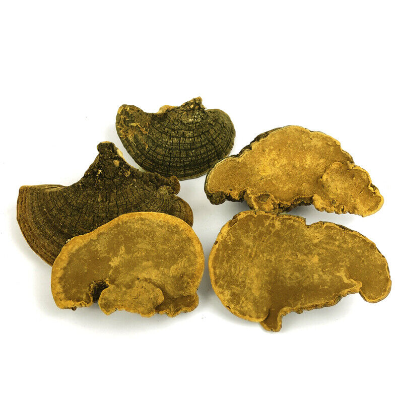 Professional Supplier of Mesima Mushroom Powder Extract-Nutra Green