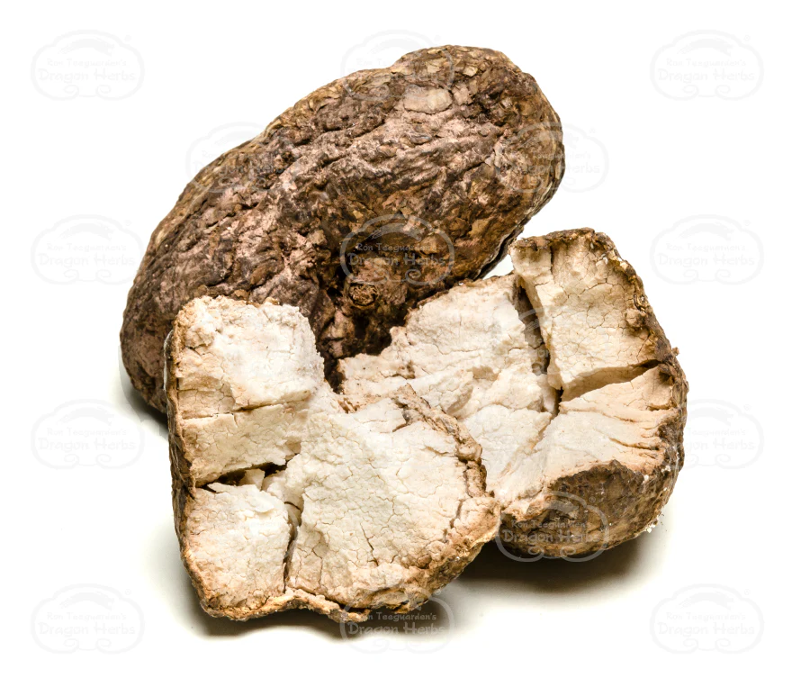 Professional Supplier of Poria Cocos Powder Extract-Nutra Green