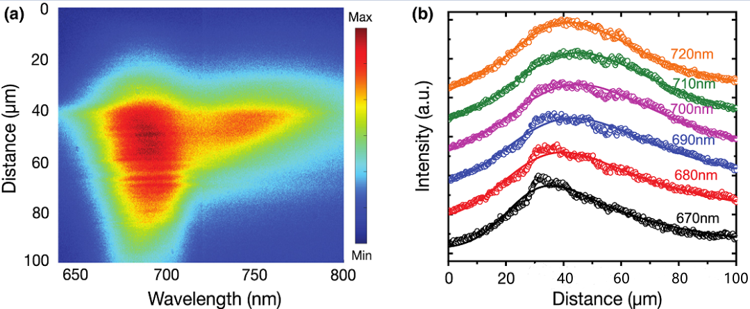 大规模人工光合作用技术突破：有机物中的能量长距离传输_东方闪光（北京）光电科技有限公司