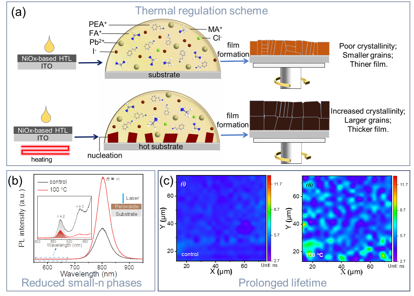 上海大学在二维钙钛矿光电探测器领域取得重要进展_东方闪光(北京)光电科技有限公司