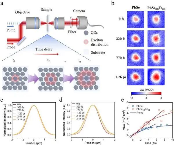 JPCL量子点调控激子波函数,实现高效能量转移_东方闪光(北京)光电科技有限公司