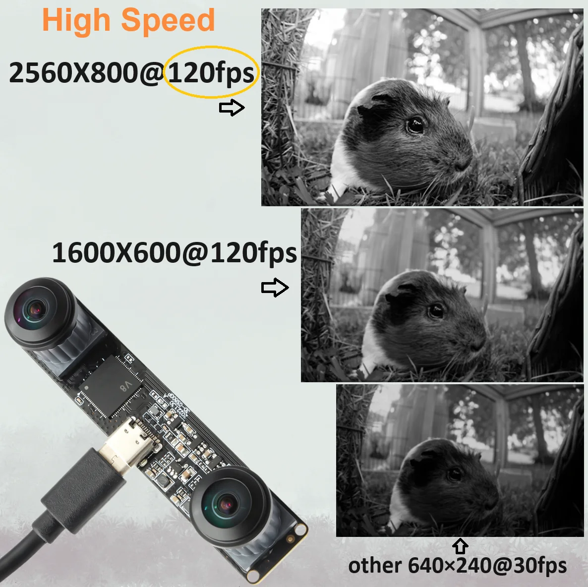 ELP 210FPS/120FPS 800P Monochrome Global Shutter USB Camera Module High ...