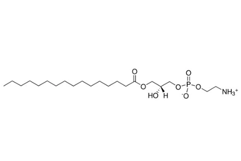 1-hexadecanoyl-sn-glycero-3-phosphoethanolamine CAS 53862-35-4