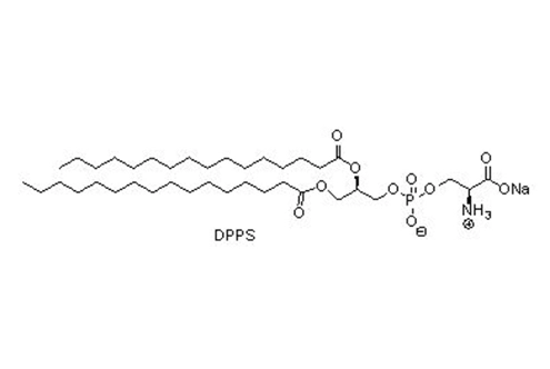 1,2-Dipalmitoyl-sn-glycero-3-phospho-L-serine (sodium salt) DPPS CAS ...