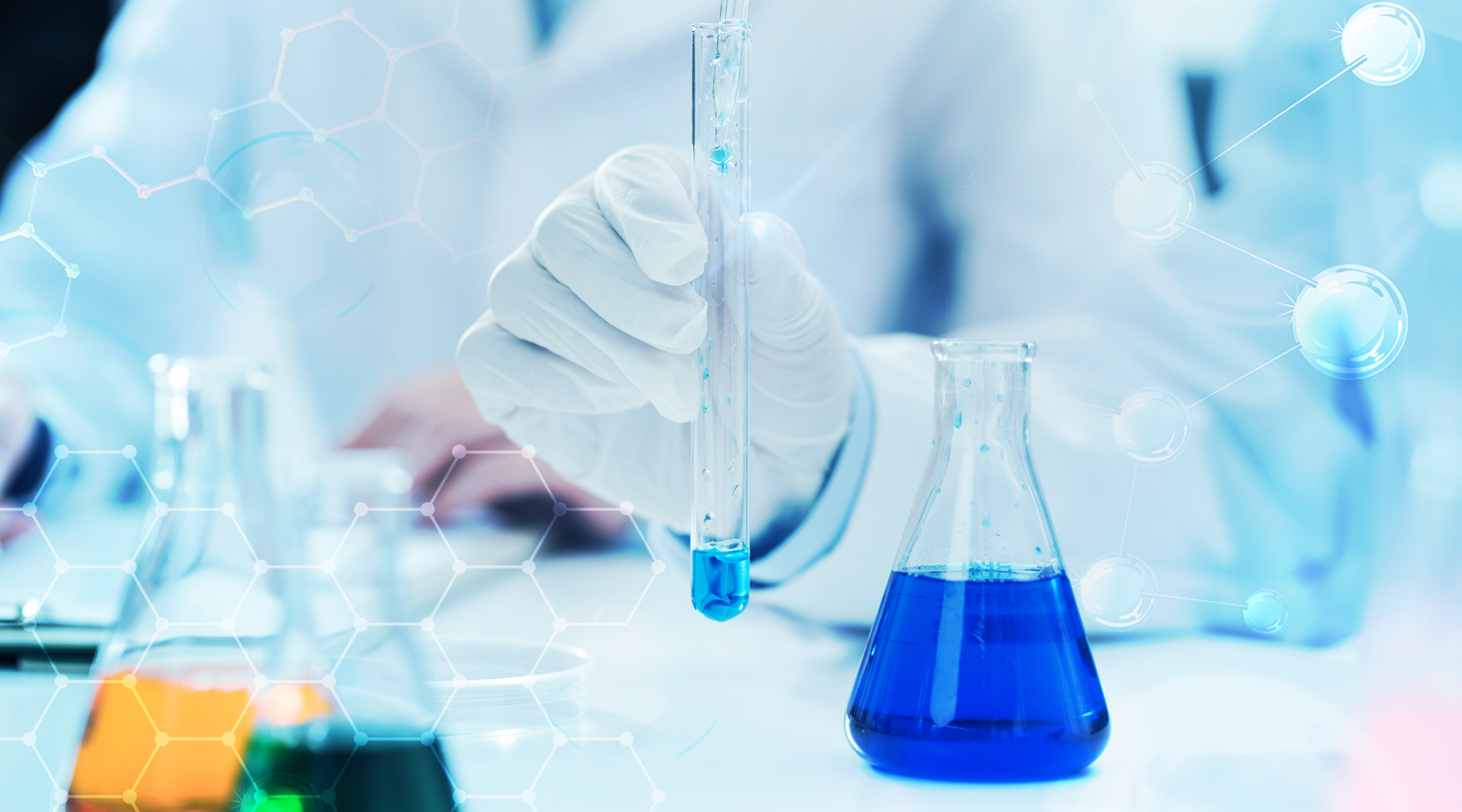 High-Purity Phospholipid: A Comprehensive Guide to Quality ...