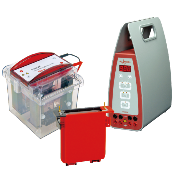 Western Blot组合_江苏博美达生命科学有限公司