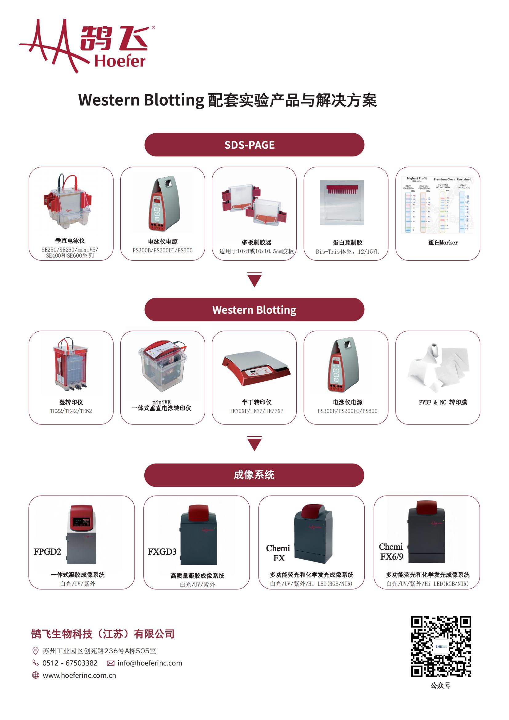 一文速览Hoefer Western Blotting 产品与解决方案_江苏博美达生命科学有限公司