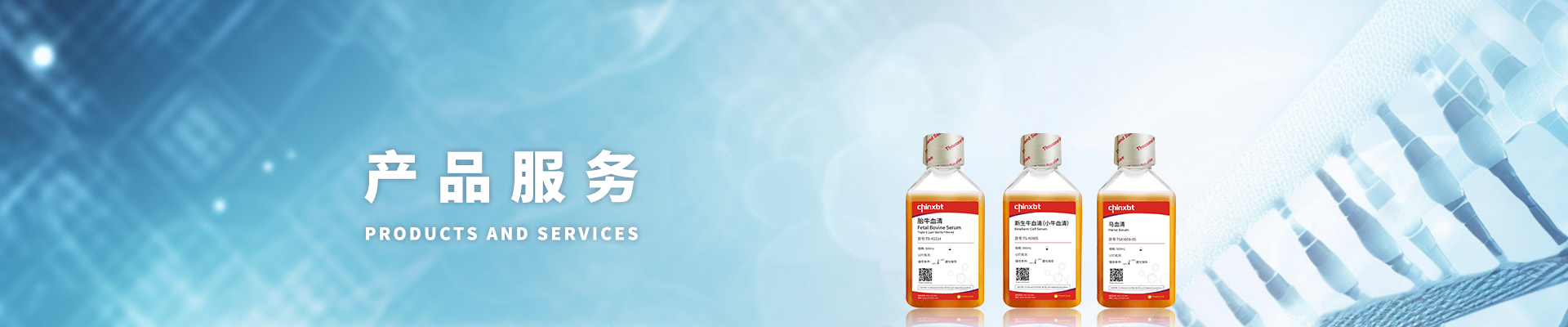 TCMK-1 小鼠肾小管上皮细胞(种属鉴定)_南京中欣博泰生物技术有限公司