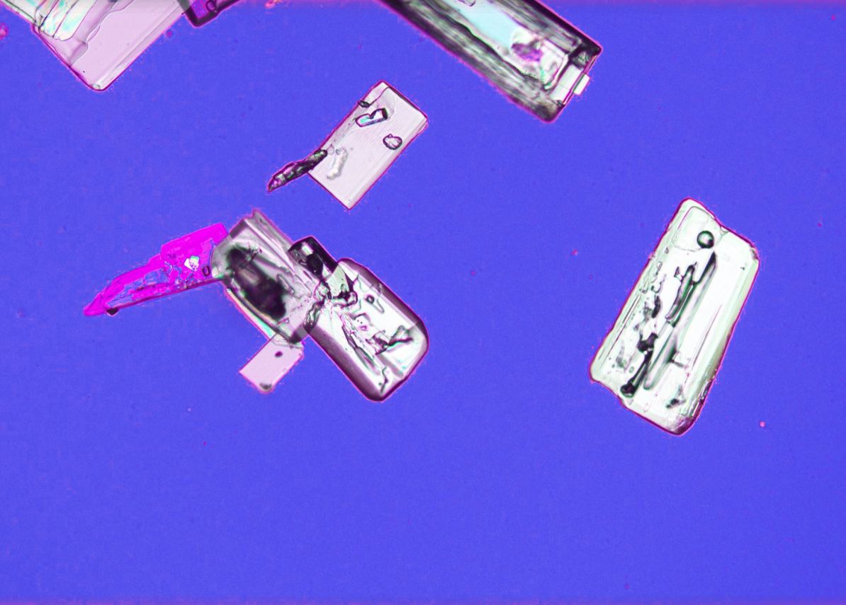 Single Crystal Cultivation And Analysis_One North Pharmaceutical ...