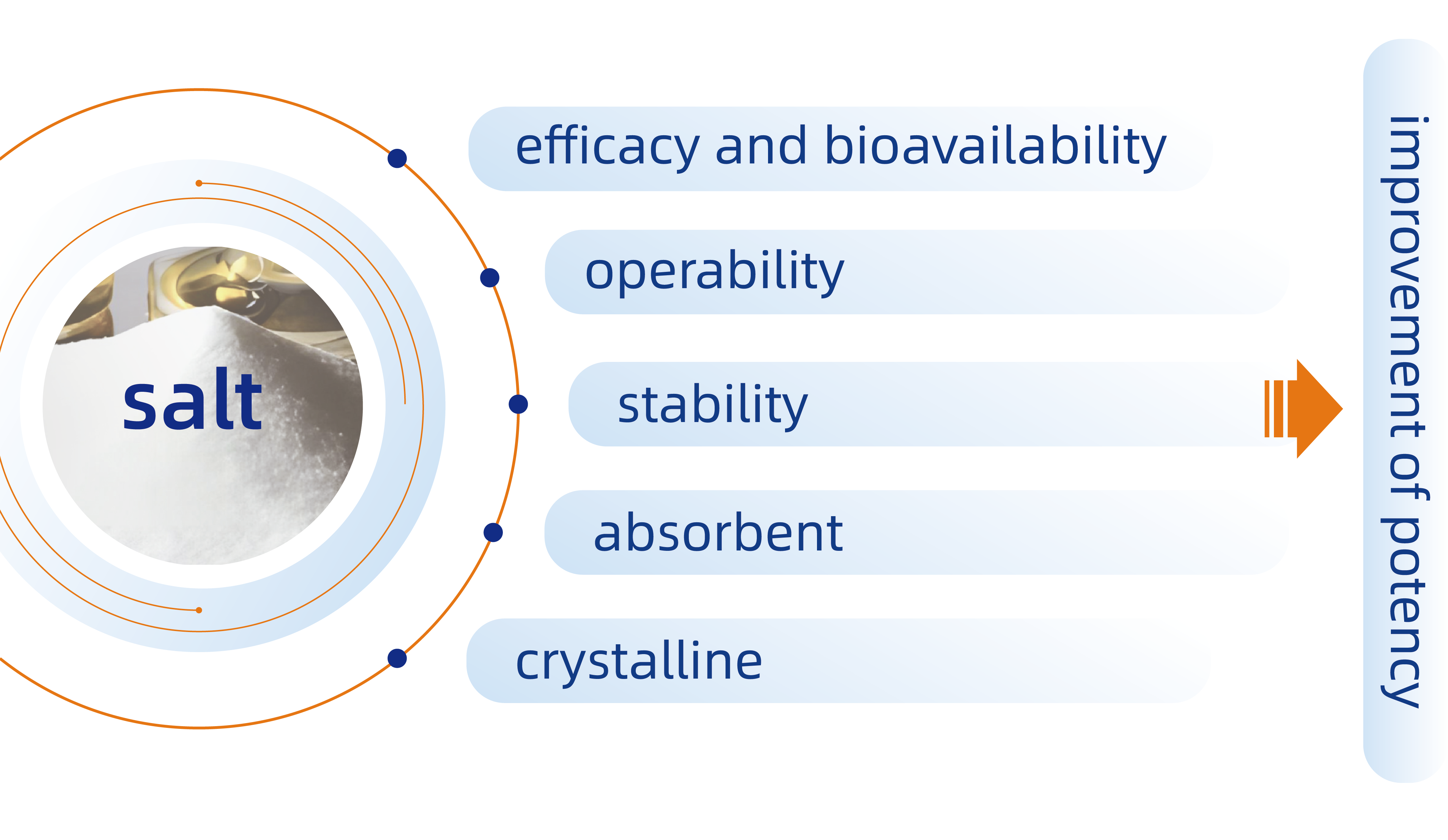 Polymorph,Salt,Co-crystal,Amorphous_One North Pharmaceutical Research ...