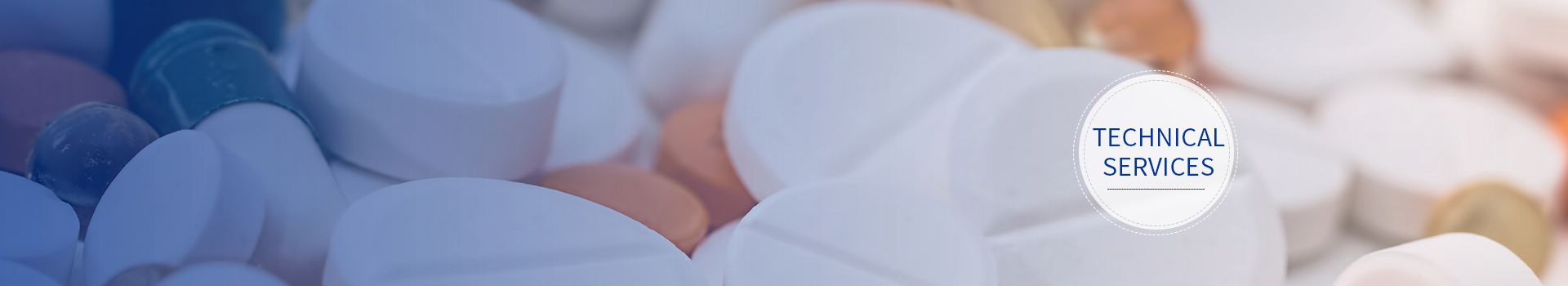 Stability Prediction(ASAPprime®)_One North Pharmaceutical Research ...