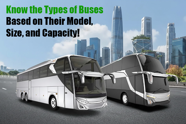 Know the Types of Buses Based on Their Model, Size, and Capacity