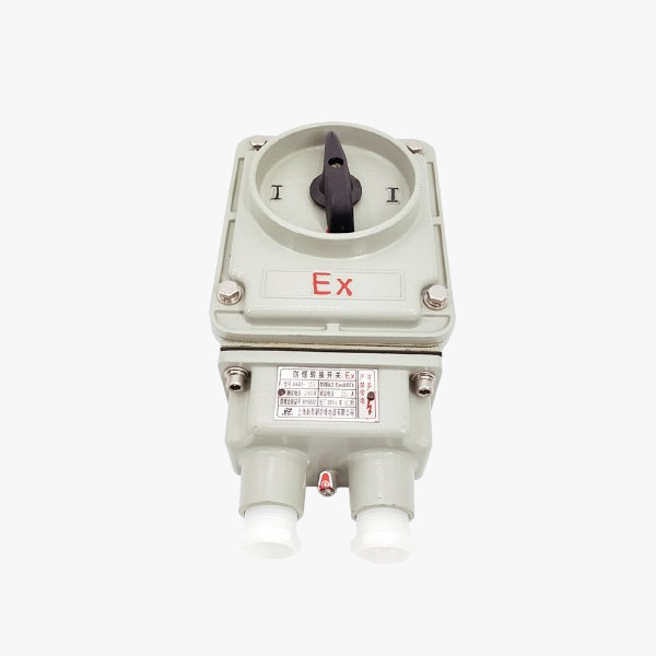 BHZ51 Explosion-Proof Transfer Switch Manufacturer - Xinliming