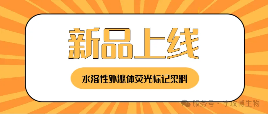 新产品:水溶性外泌体荧光标记染料(Aco-600,红色)_上海宇玫博生物科技有限公司