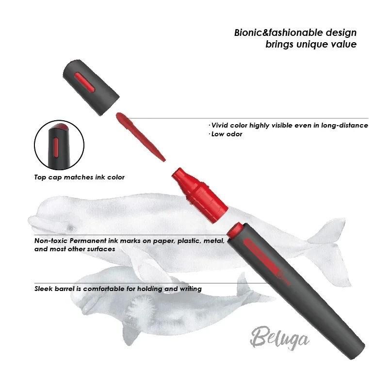 Different types and color options of permanent markers